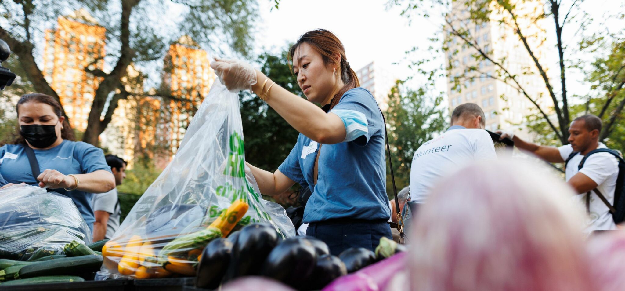 Volunteer City Harvest