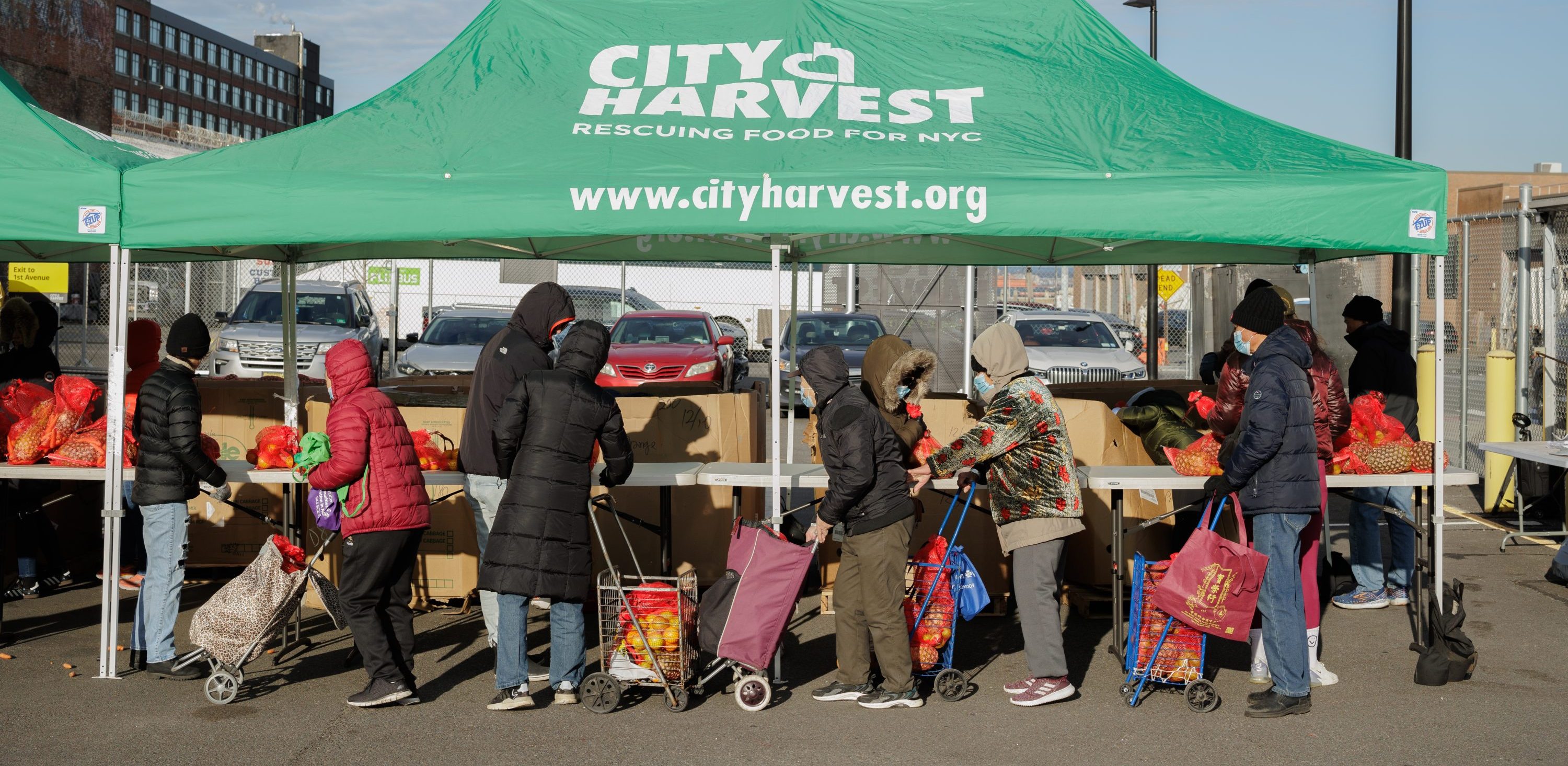 Reports on Hunger - City Harvest