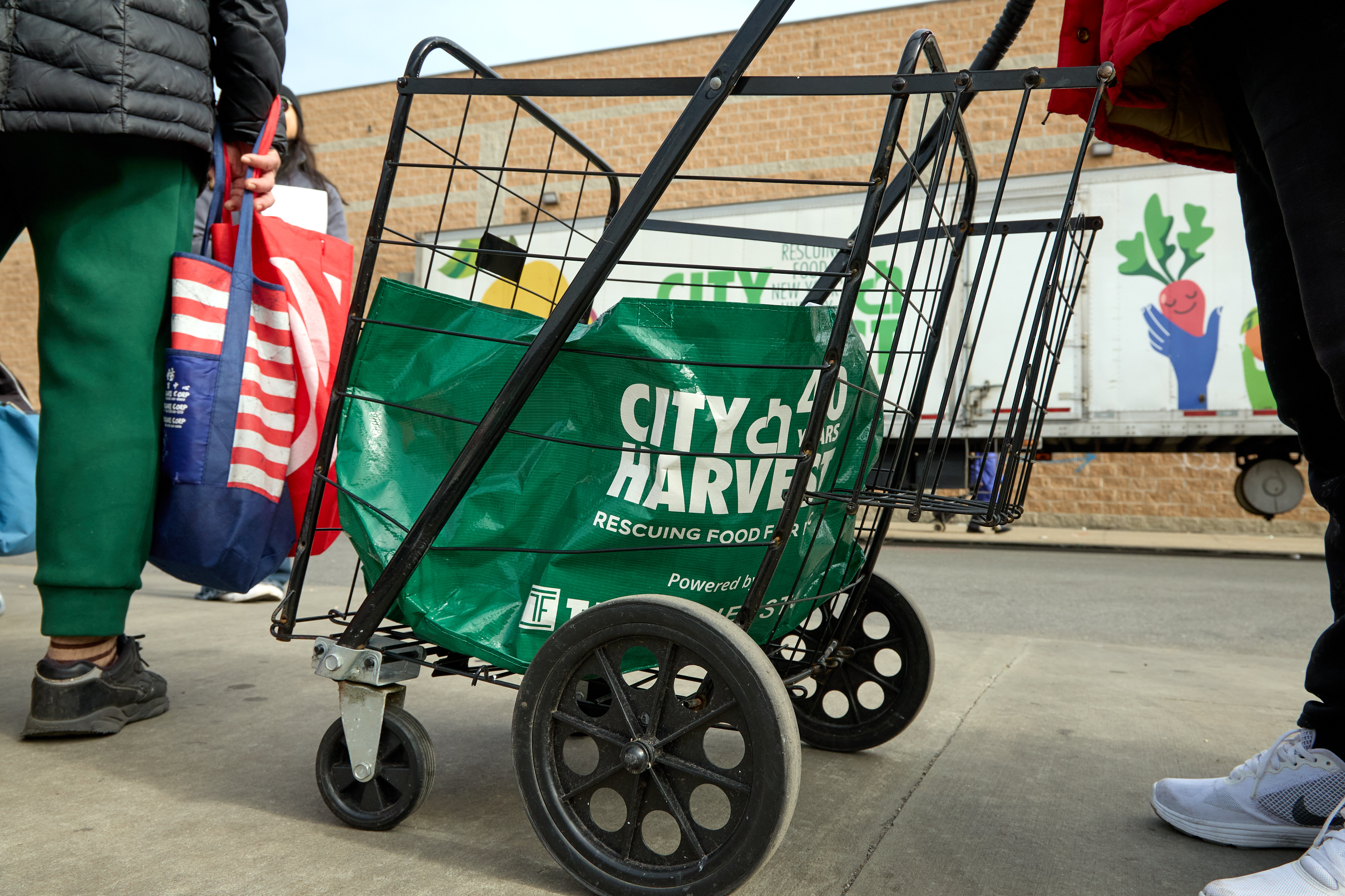 A Letter from the Desk of Jilly Stephens in Response to the Cuts to ...